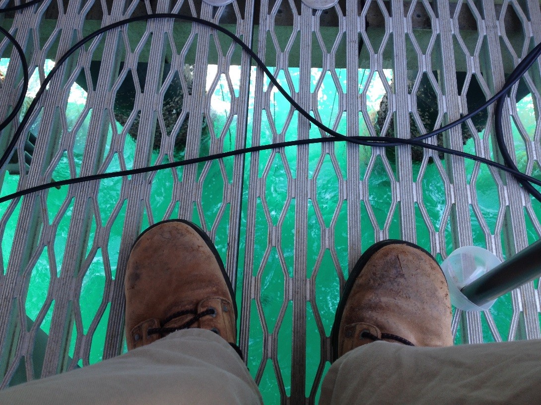 The Australian Integrated Marine Observing System’s Radiometry Task ...