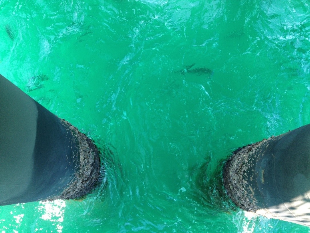 The Australian Integrated Marine Observing System’s Radiometry Task ...